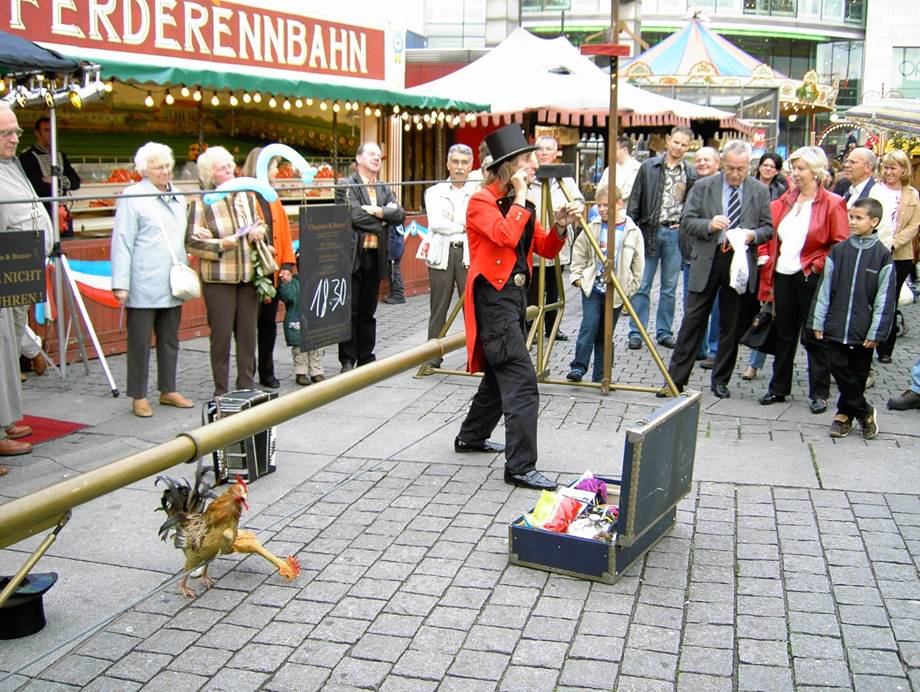 Gilbert Show´s Illusion